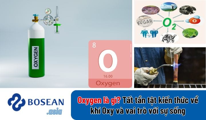 Oxygen là gì? Tất tần tật kiến thức về khí Oxy và vai trò với sự sống